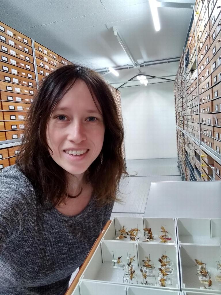 Collection | Naturalis